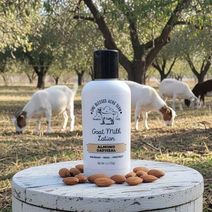Almond Oatmeal Goat Milk Hand and Body Lotion - Travel Size – Artisan ...